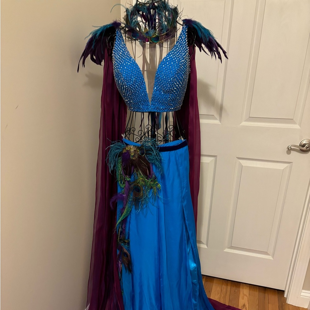 Custom Made Adult Small Pageant Cosplay Costume Peaco… - Gem
